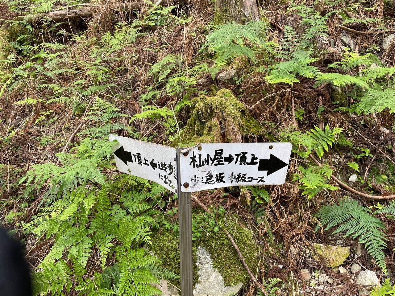 竜頭山 / TKC90さんの竜頭山・入地山の活動データ | YAMAP / ヤマップ