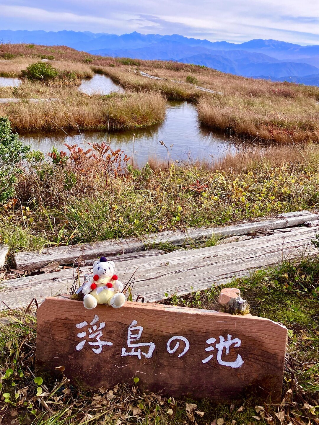 白木峰・北白木峰・小白木峰 / cafe_Orinさんの白木峰・小白木峰の活動データ | YAMAP / ヤマップ