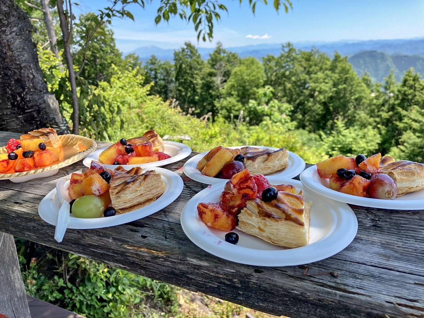 誕生山・白山・天王山 1st / ちはっぺ ☺︎ Messtinsさんの天王山・誕生山の活動日記 | YAMAP / ヤマップ