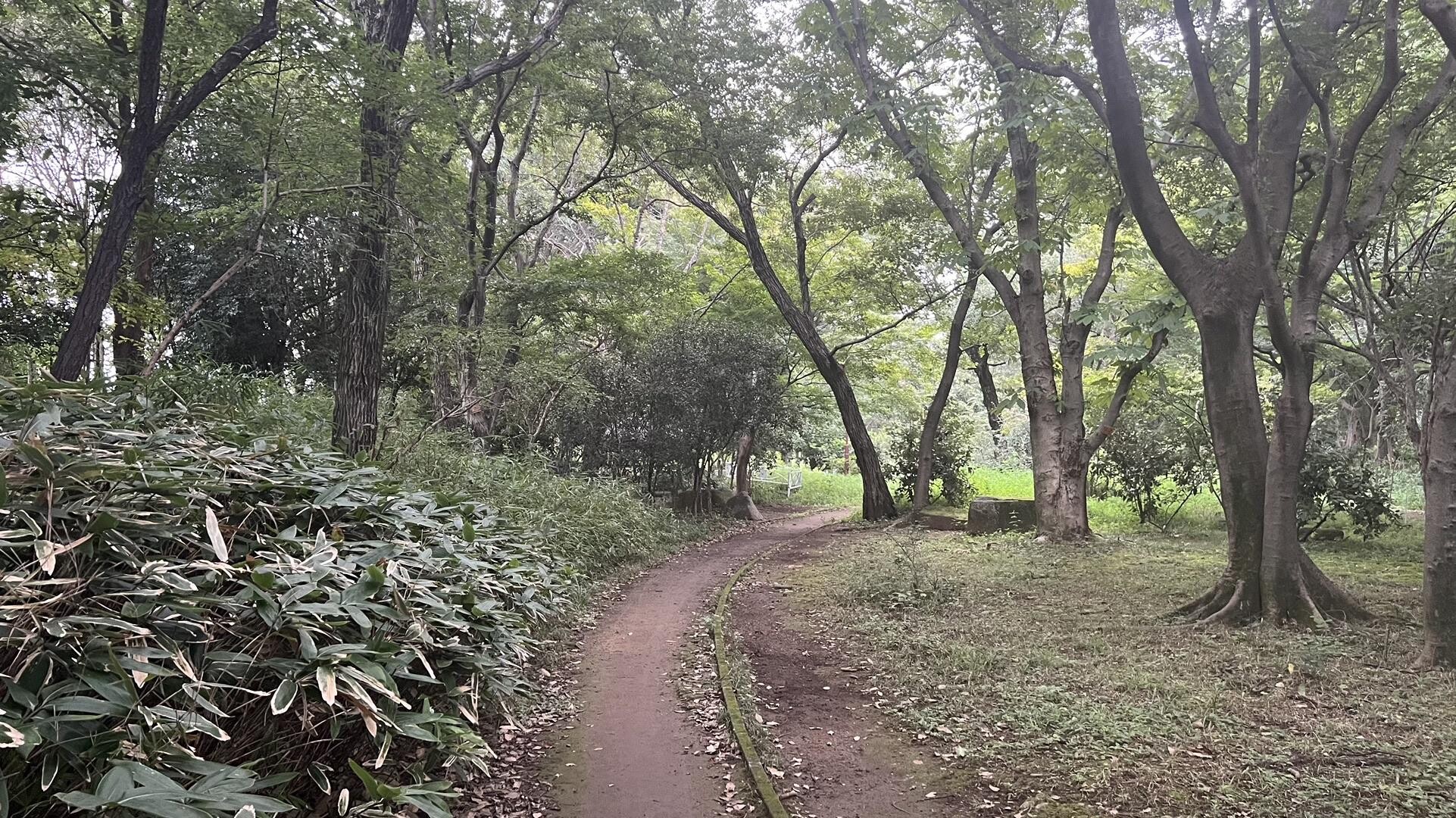 【曇りの日4km】朝5時の空は曇っていて... / ちはやさんのモーメント | YAMAP / ヤマップ