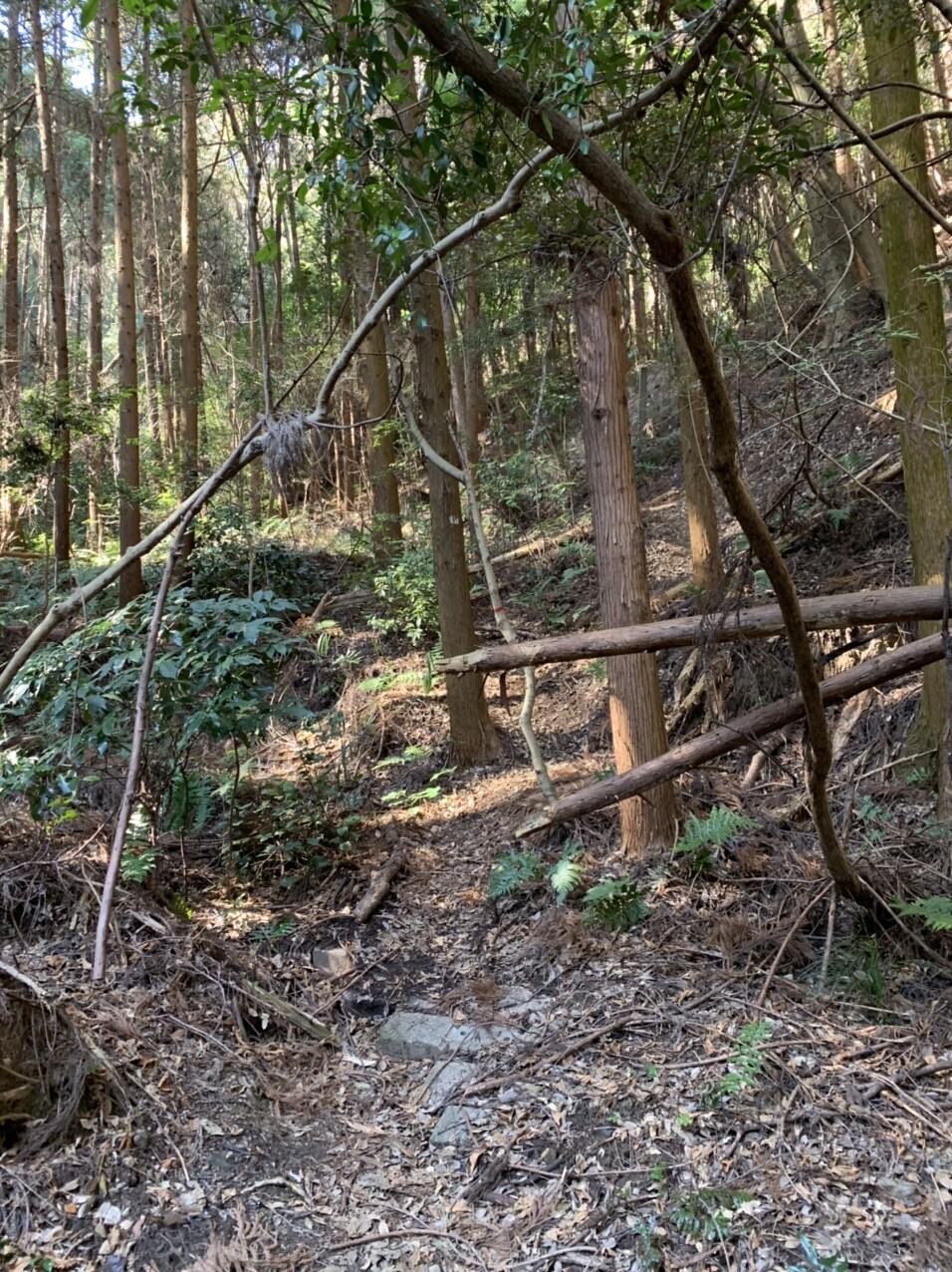 ☆akiさんの投稿したフィールドメモ | YAMAP / ヤマップ