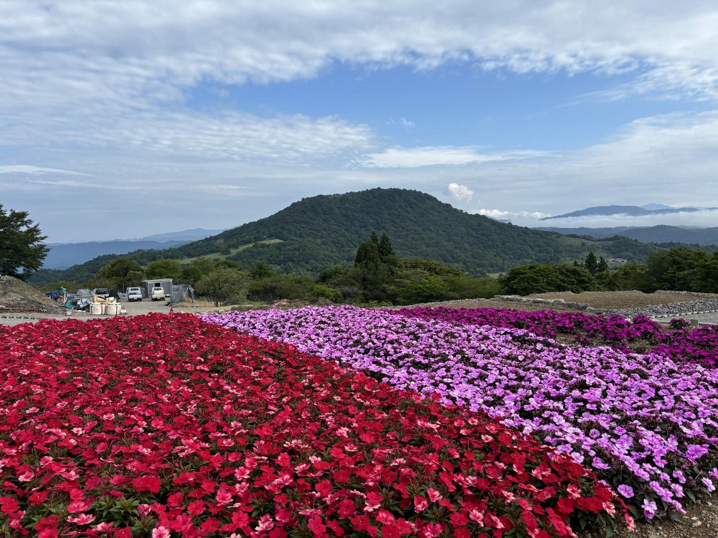 萩太郎山・茶臼山 / Soneqさんの茶臼山・萩太郎山の活動データ | YAMAP / ヤマップ