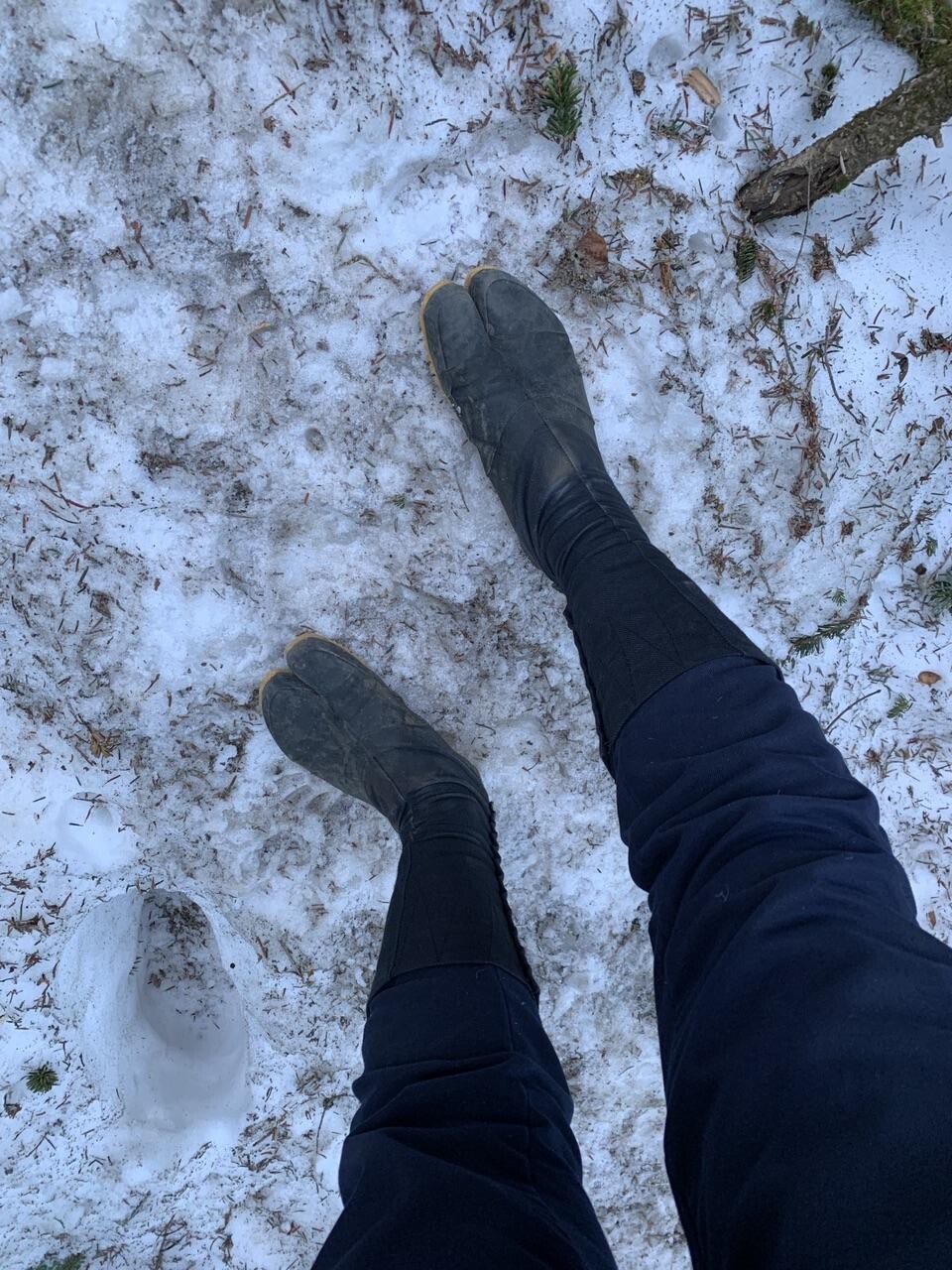 jucca🍎のページ | YAMAP / ヤマップ