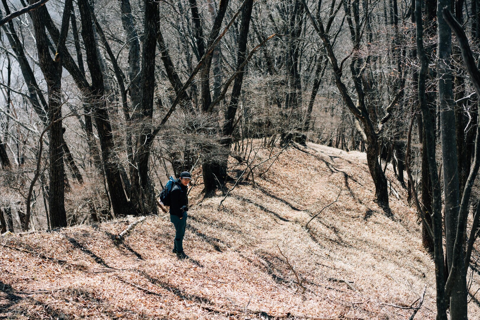 薬師岳・夕日岳・地蔵岳 / Ami Renaさんの夕日岳・薬師岳の活動データ | YAMAP / ヤマップ