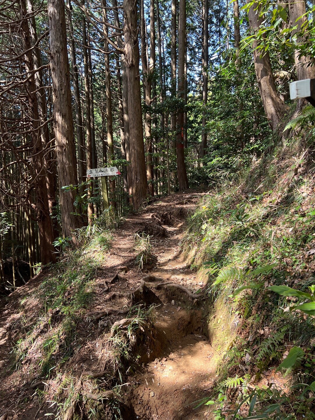 ken-endoさんの投稿したフィールドメモ | YAMAP / ヤマップ