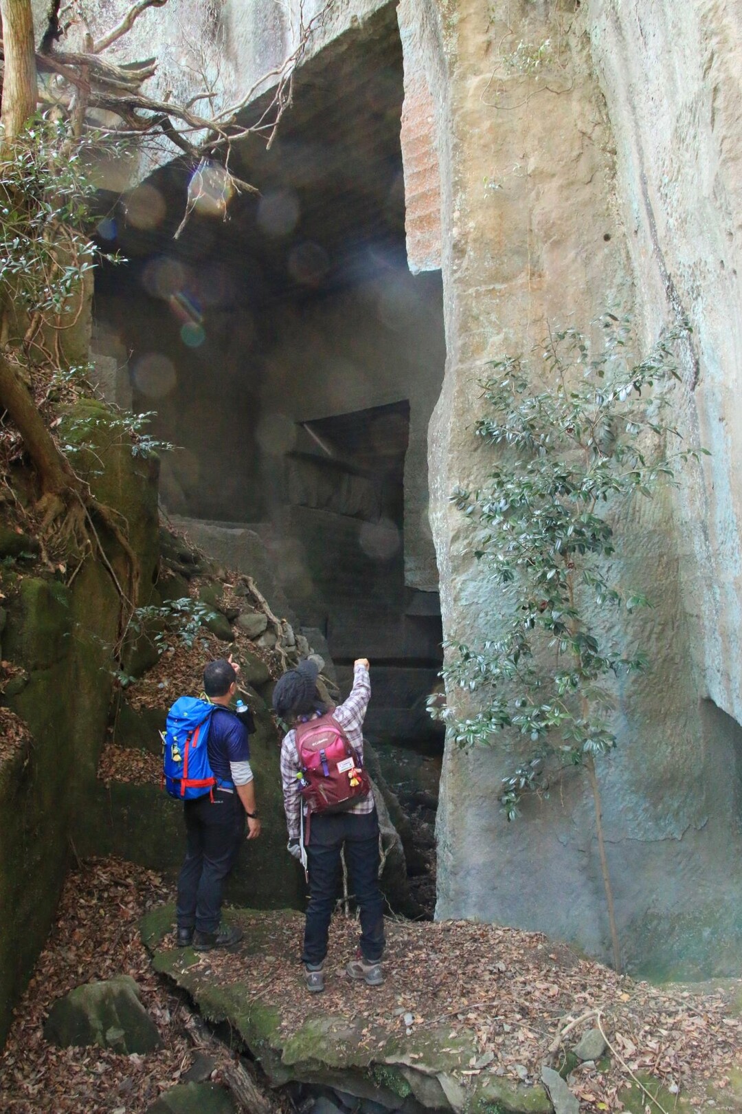 おかわり登山で鋸山 ～ 元名側 / KOH-Chanさんの鋸山の活動データ | YAMAP / ヤマップ
