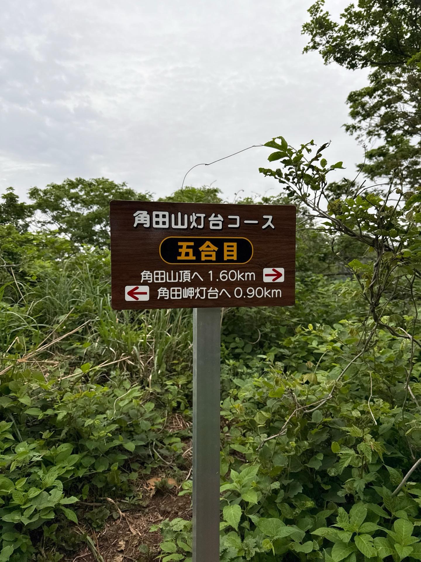 角田山-2025-05-19 / moda -suさんの角田山の活動データ | YAMAP / ヤマップ