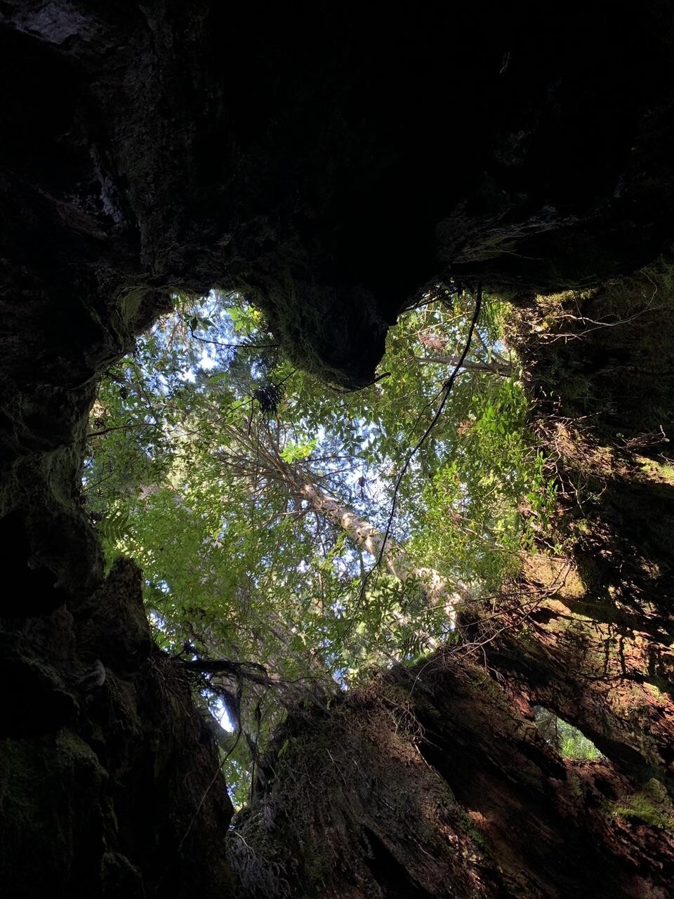 あんしんOKのページ | YAMAP / ヤマップ