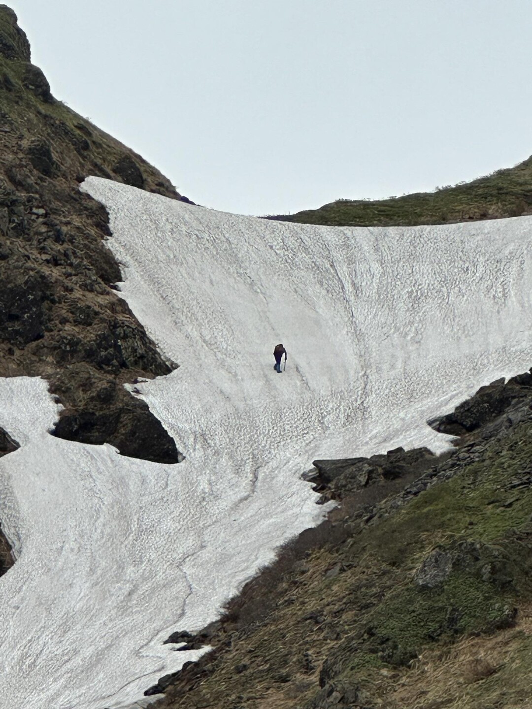 ムーミン雪渓 / bateniceさんの秋田駒ヶ岳・男女岳・貝吹岳の活動日記 | YAMAP / ヤマップ