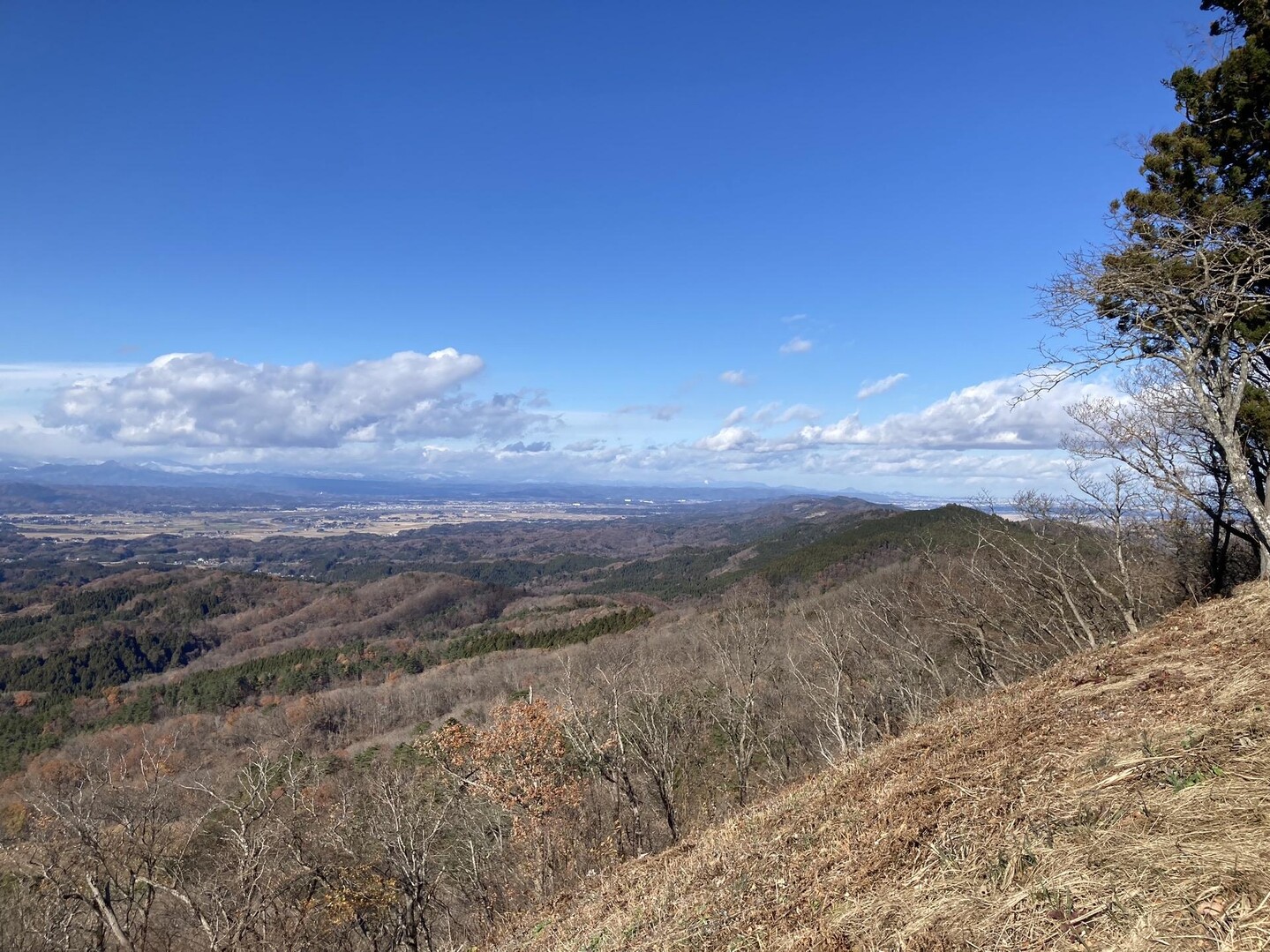 金華山・音羽山・主義山・権現堂山・地蔵森・五社壇・鹿狼山 / NEOひだるまさんの鹿狼山の活動データ | YAMAP / ヤマップ