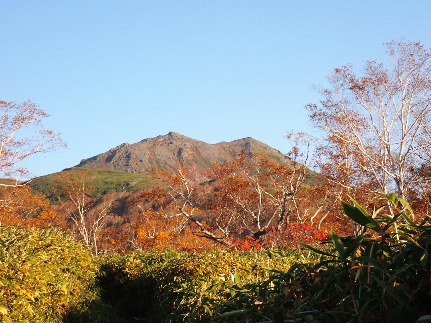 トムラウシ山 / 菜月さんのGT3 2の活動データ | YAMAP / ヤマップ