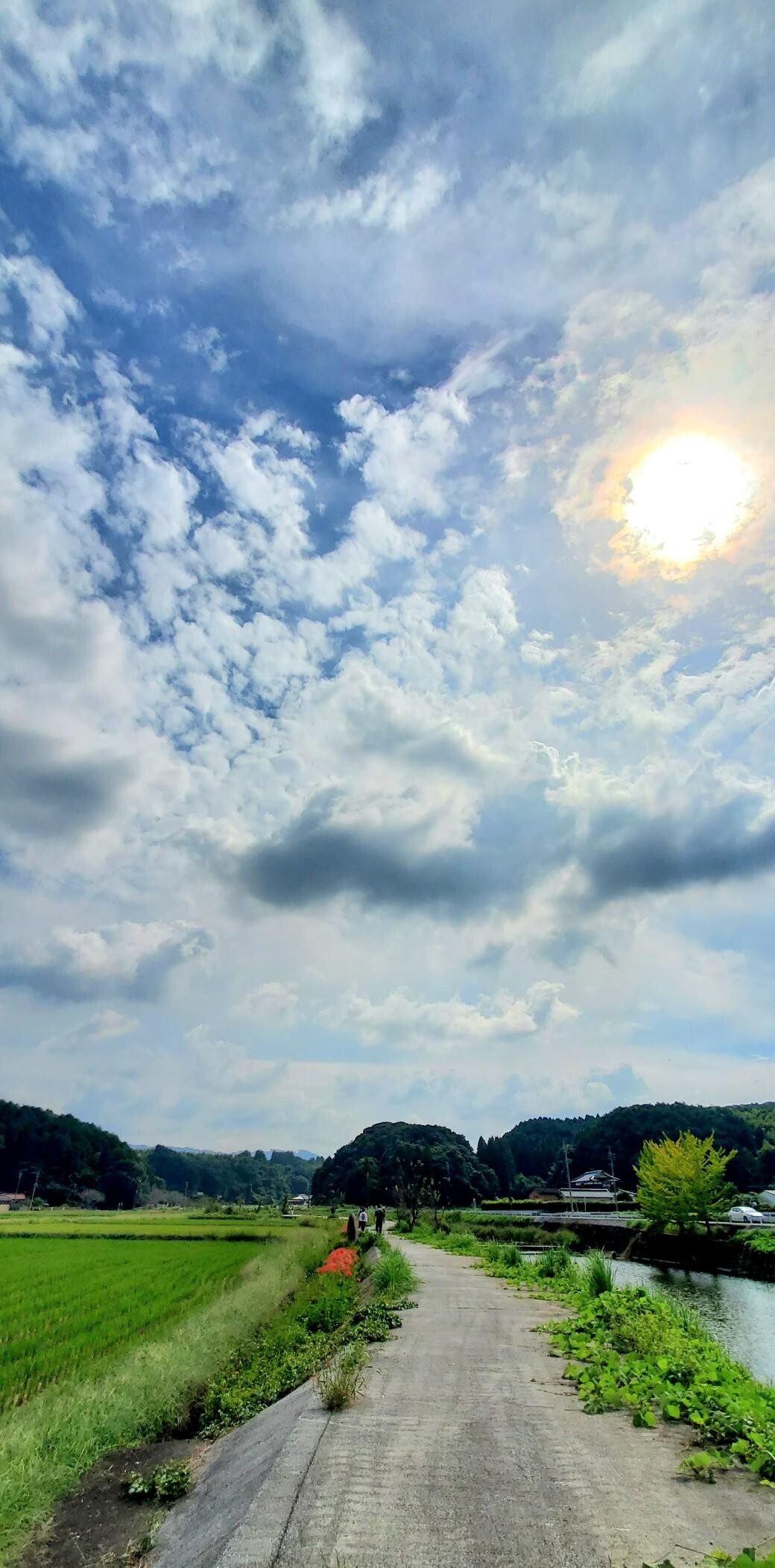 JR九州ウォーキング-2023-10-01 / ひま🌻さんのウォーキングの活動データ | YAMAP / ヤマップ