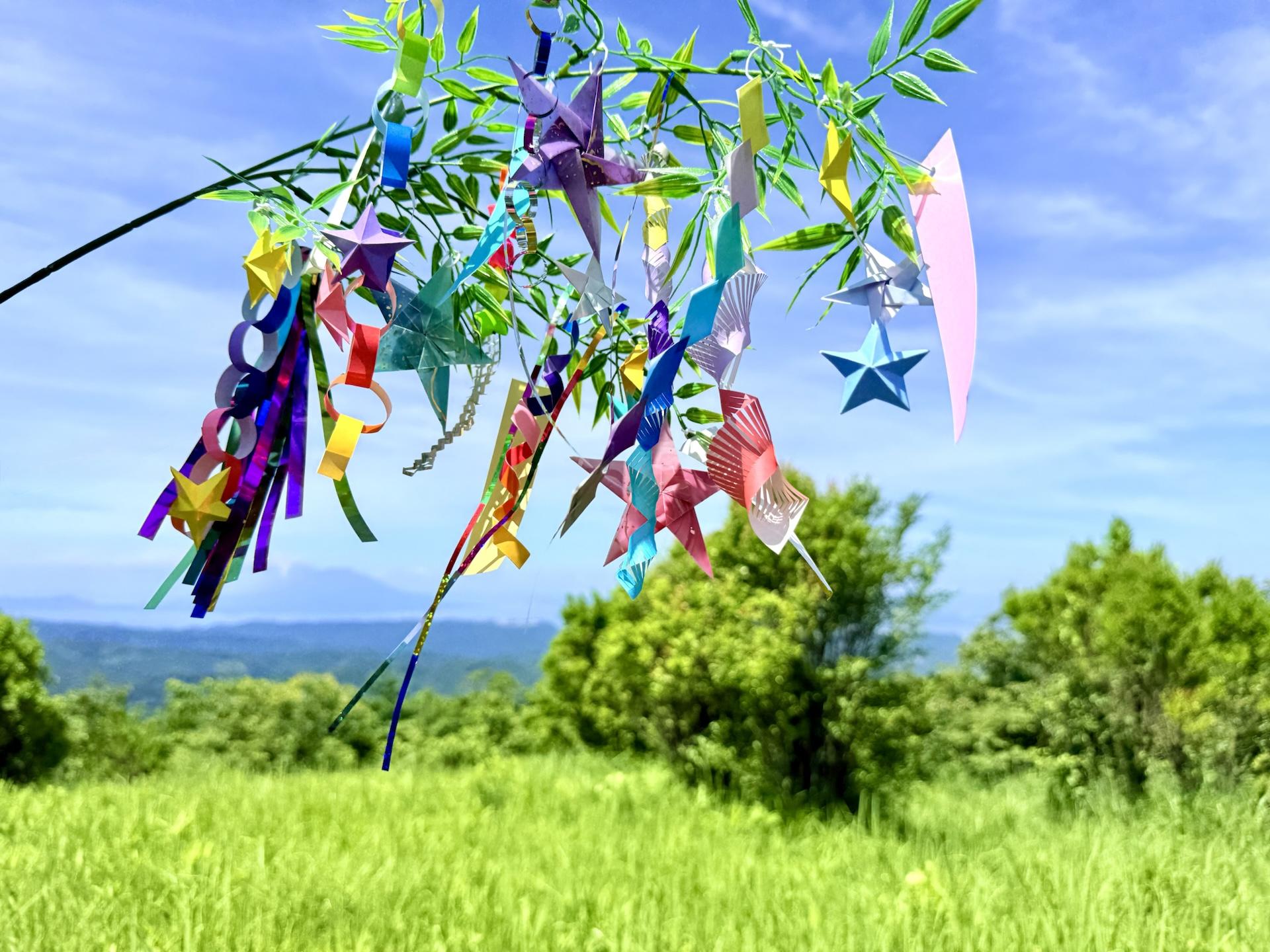 黒石岳 / misaさんの黒石岳の活動日記 | YAMAP / ヤマップ