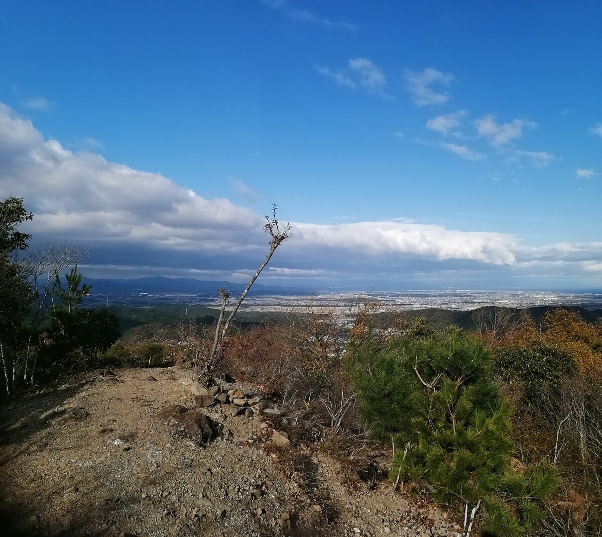 鼓ヶ岳 / はちとらさんの伊勢市の活動データ | YAMAP / ヤマップ