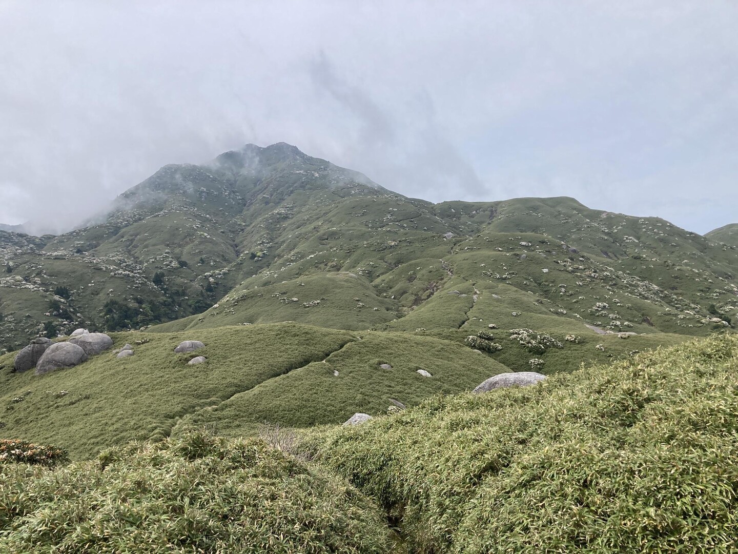 宮之浦岳・永田岳(白谷雲水峡→淀川登山口・紀元杉) / K.TAIRAさんの屋久島・宮之浦岳の活動データ | YAMAP / ヤマップ