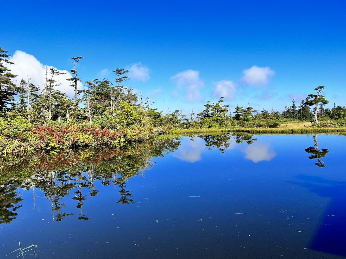 1時間半で山頂の楽園「焼額山」 / NBさんの焼額山の活動データ | YAMAP / ヤマップ