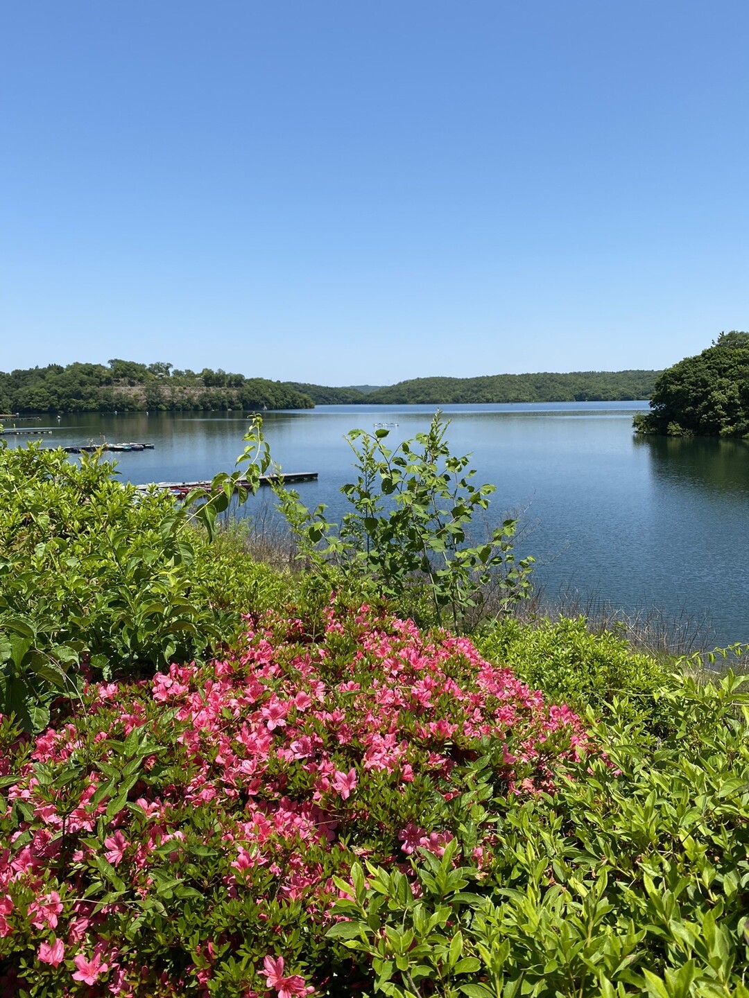 20220529_相澤山・信貴山・尾張本宮山・尾張富士 / Tak@DMさんの尾張富士・尾張本宮山・尾張白山の活動データ | YAMAP / ヤマップ