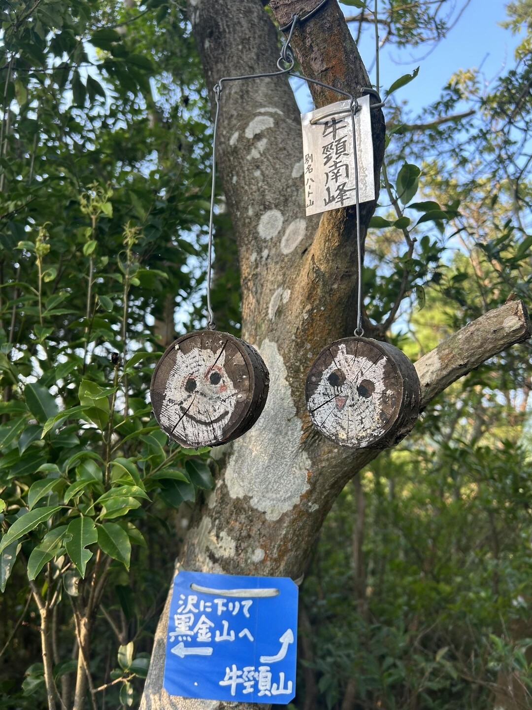 天拝山・奥天拝・大佐野山・前黒金山・黒金山・ハート山（牛頸南峰）・三市町山・牛頸山 / Saoriさんの天拝山・基山の活動データ | YAMAP / ヤマップ