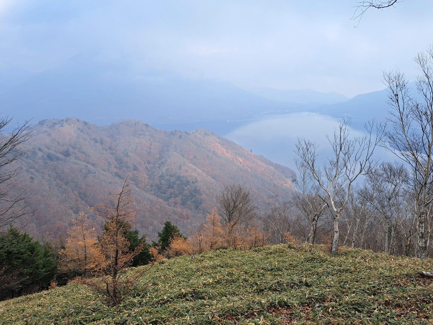社山 中禅寺湖半 / Ku-minさんの日光白根山・五色山・錫ヶ岳の活動データ | YAMAP / ヤマップ