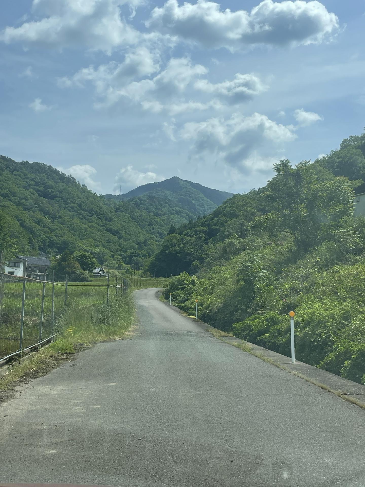 隙間時間！！男山☀︎室尾山 / みみみDOさんの東床尾山・西床尾山・室尾山の活動データ | YAMAP / ヤマップ
