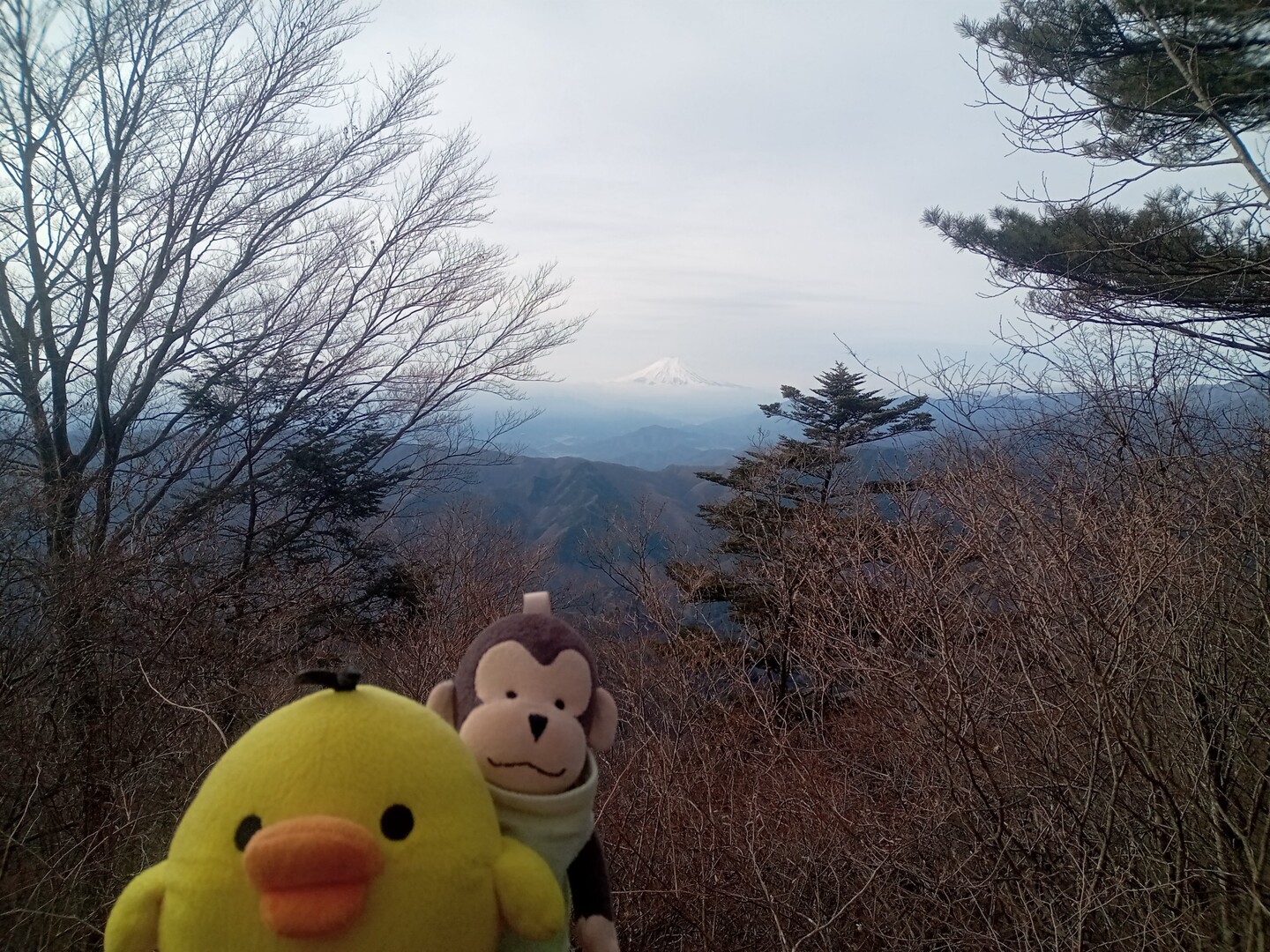 奥多摩湖からの三頭山〜高尾山縦走 / monkichi_1さんの三頭山・槇寄山・土俵岳の活動データ | YAMAP / ヤマップ