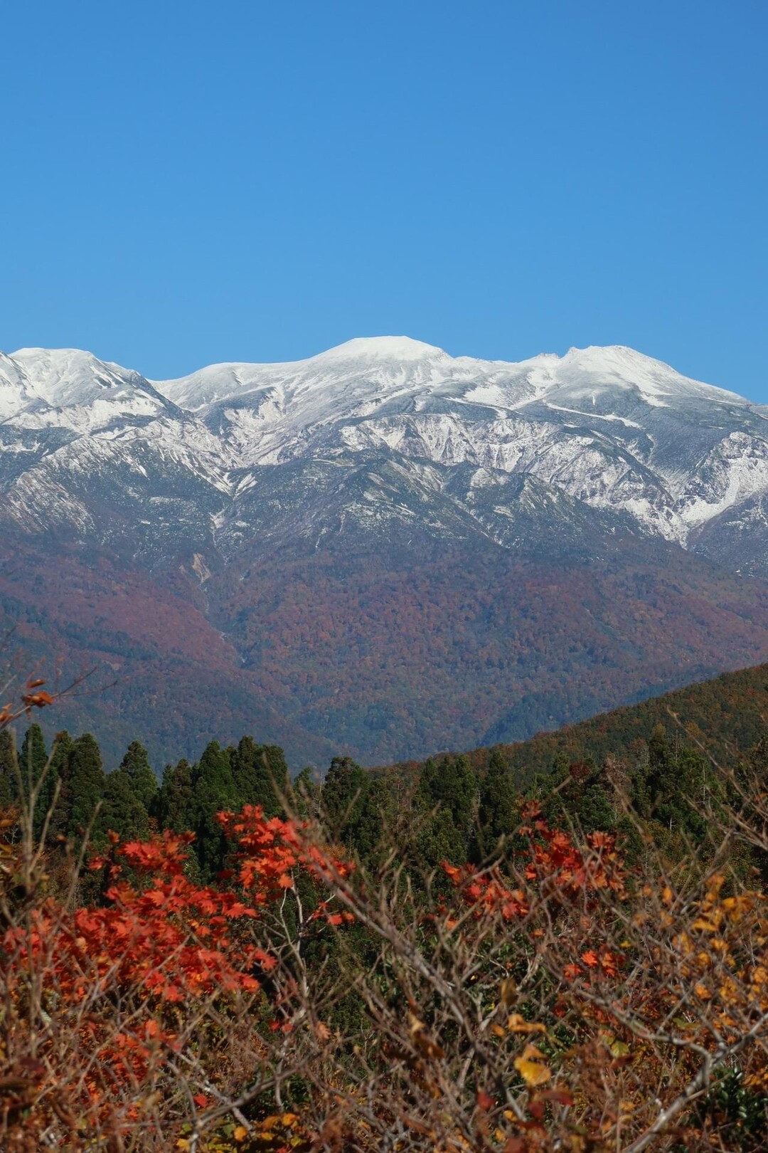 こつぶり山・取立山 / SZさんの取立山の活動日記 | YAMAP / ヤマップ