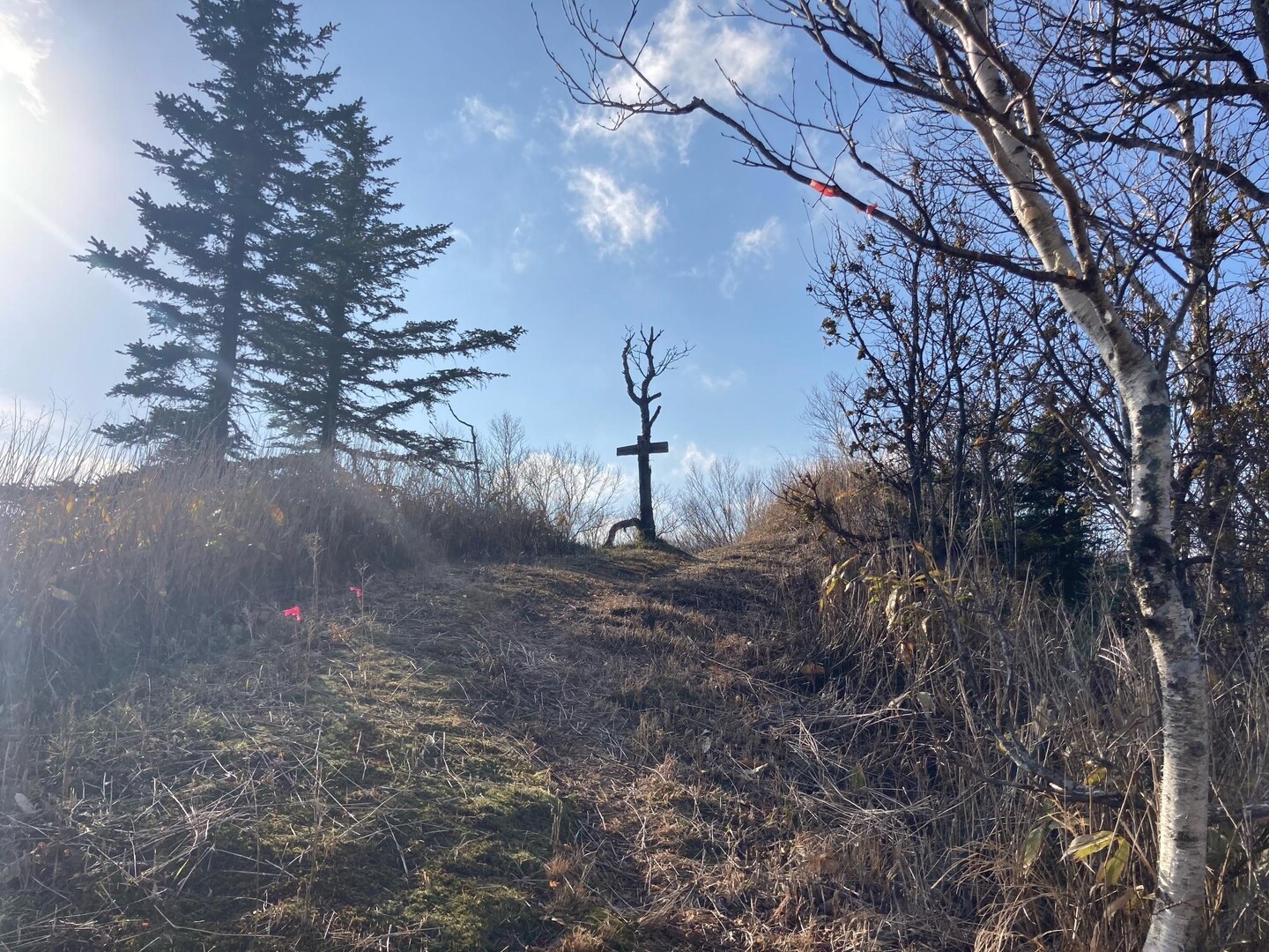 仁頃山 / osa さんの仁頃山の活動データ | YAMAP / ヤマップ