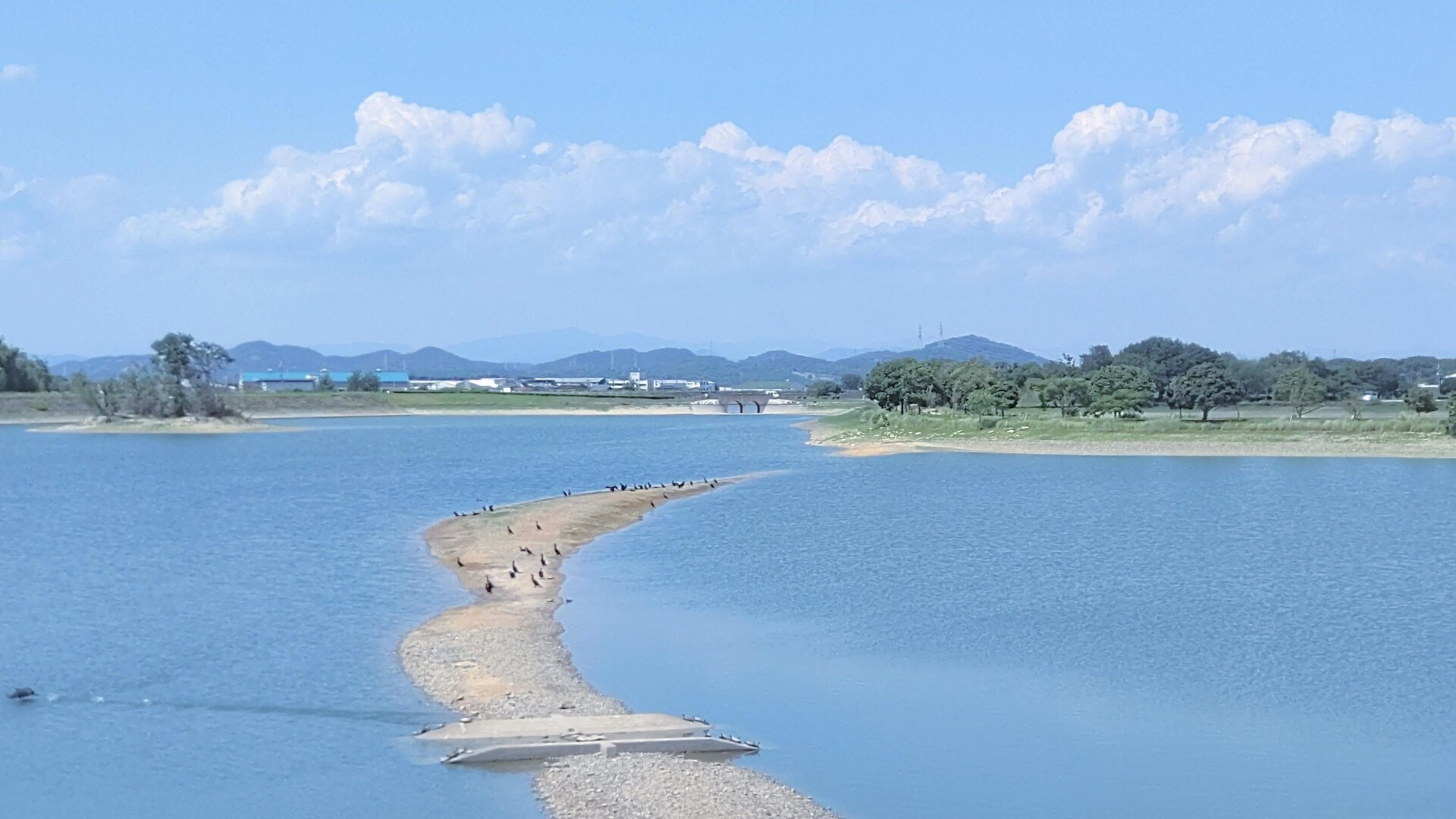 酷暑 再び 印南野ウォーク-2024-09-02 / NOBUさんのウォーキングの活動データ | YAMAP / ヤマップ