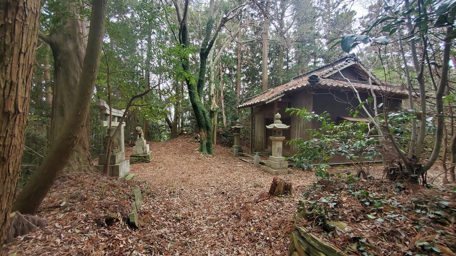 トレジョグ 権現山 / hirobonさんの八幡浜市の活動データ | YAMAP / ヤマップ