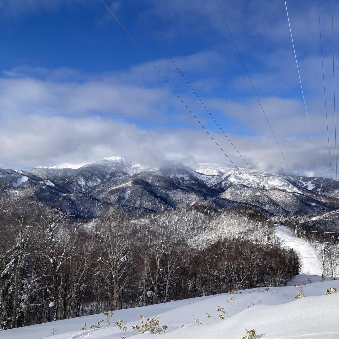 迷沢山・迷沢山西峰 / TANさんの迷沢山の活動データ | YAMAP / ヤマップ