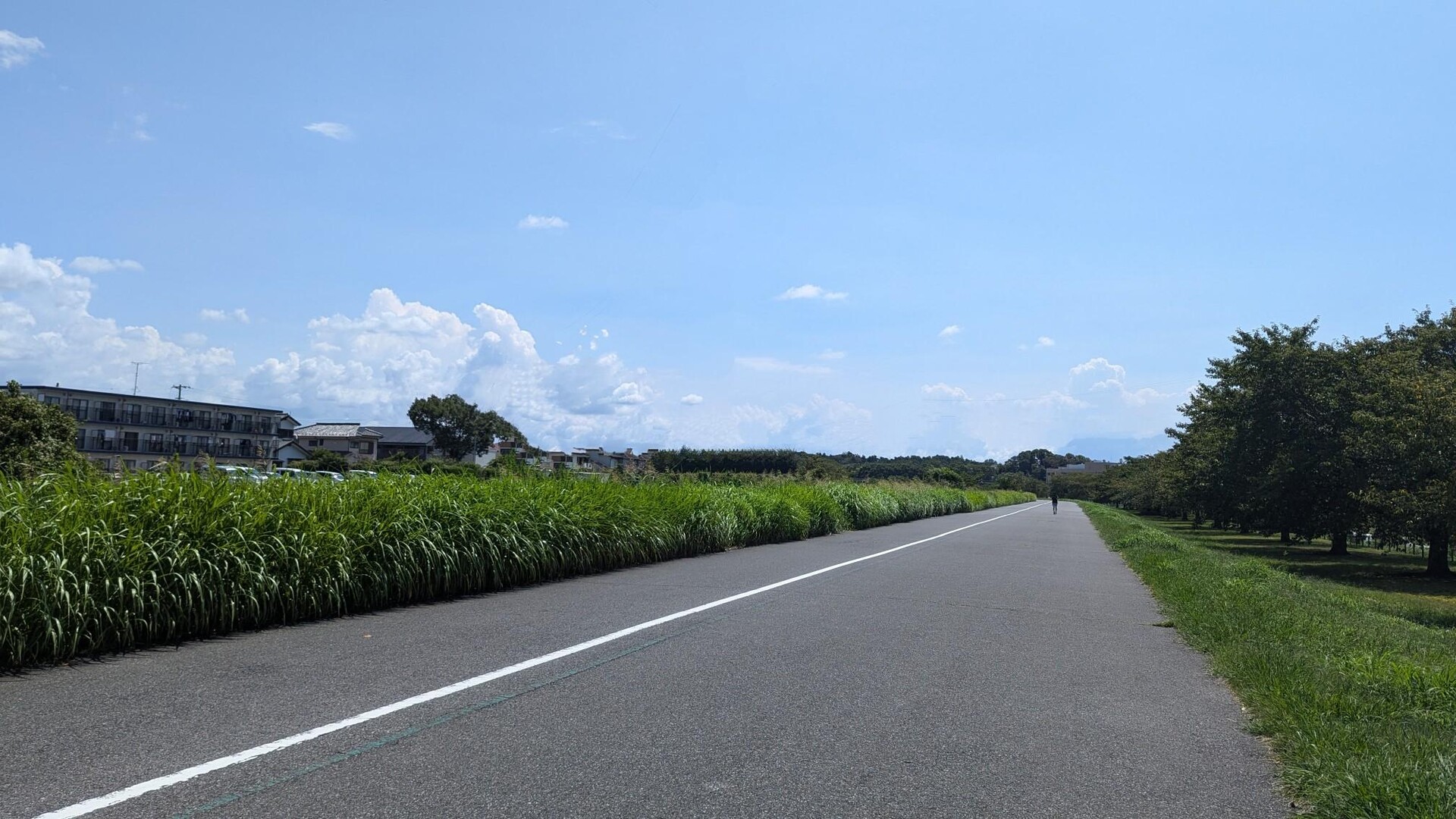 手賀沼ランニング-2024-08-26 / TK54さんのランニングの活動データ | YAMAP / ヤマップ