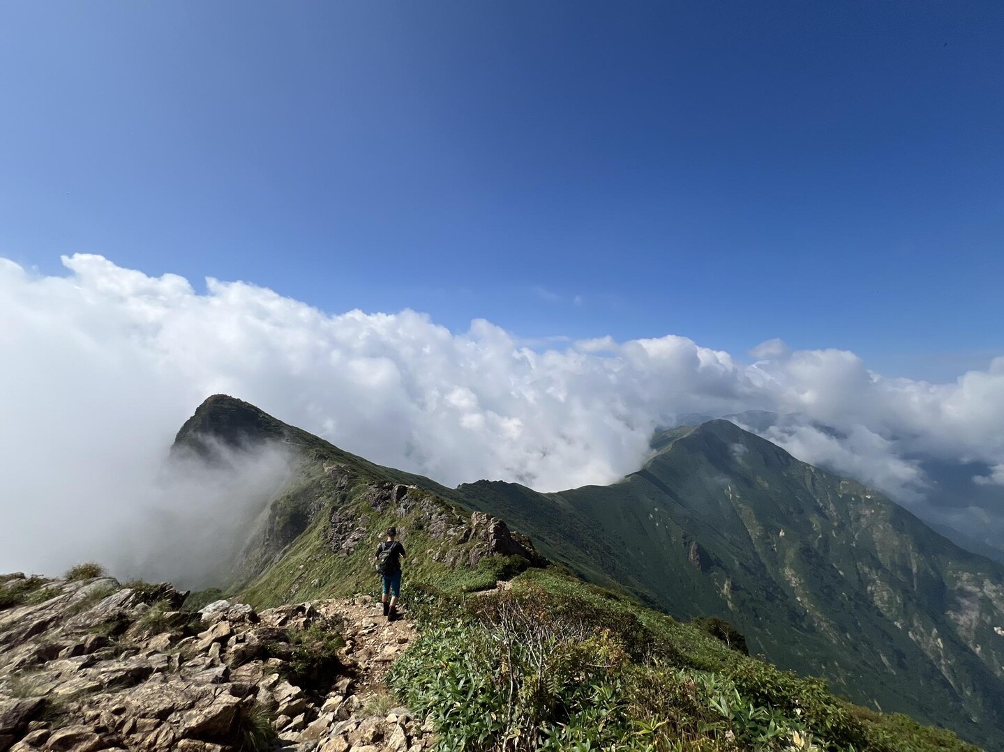 熊穴沢ノ頭・谷川岳（トマの耳）・谷川岳（オキノ耳） / miiさんの谷川岳・七ツ小屋山・大源太山の活動データ | YAMAP / ヤマップ