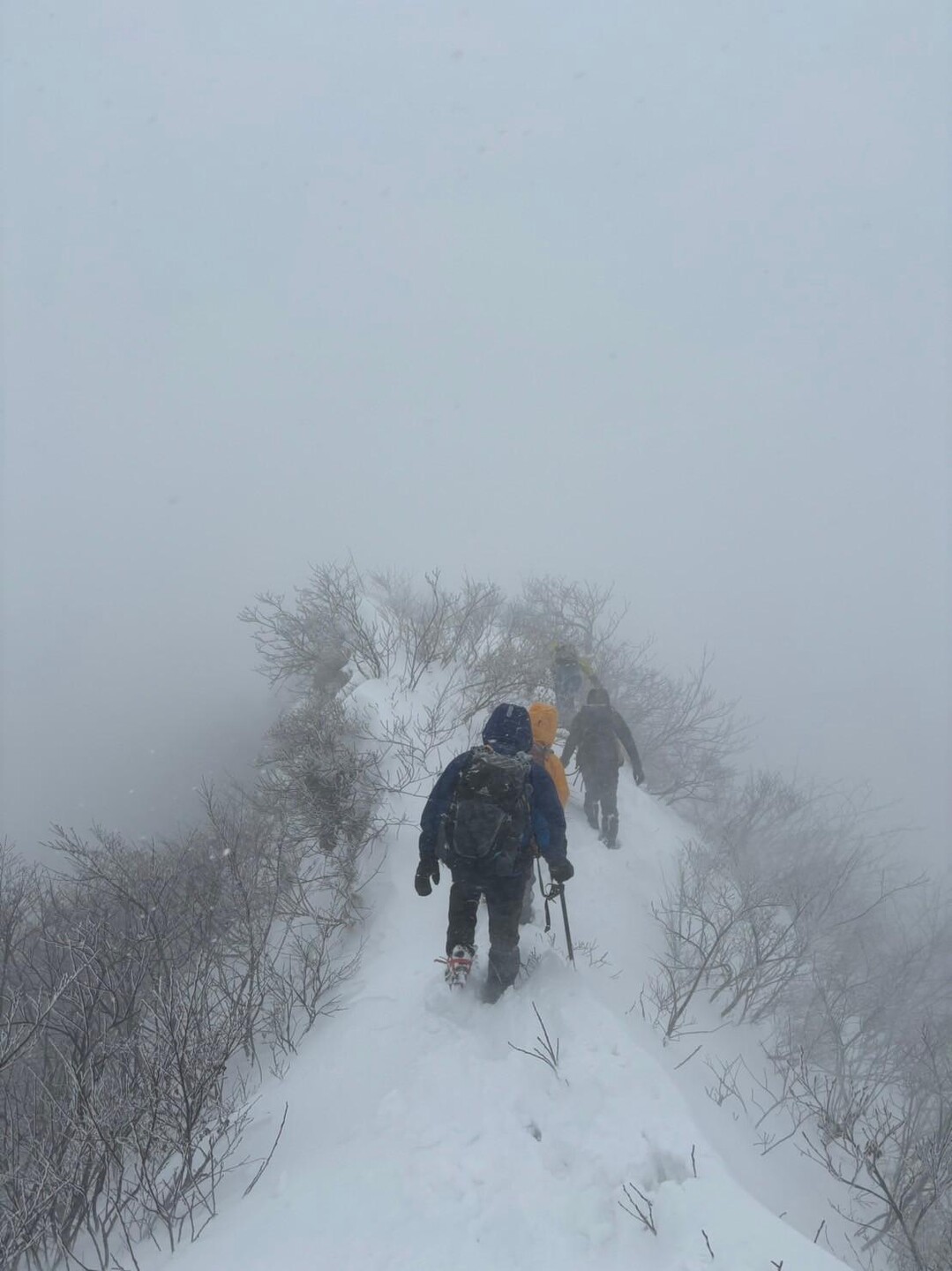 大山雪上訓練☃️ / kaz23さんの大山・甲ヶ山・野田ヶ山の活動データ | YAMAP / ヤマップ
