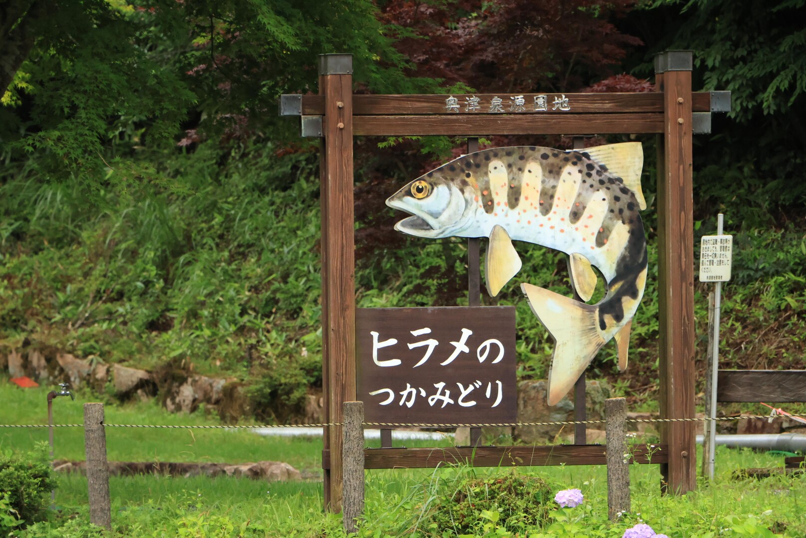 千軒平(岡山県立森林公園) - その前に花蓮を / R1さんの岡山県立森林公園・千軒平・すずのこ平の活動データ | YAMAP / ヤマップ