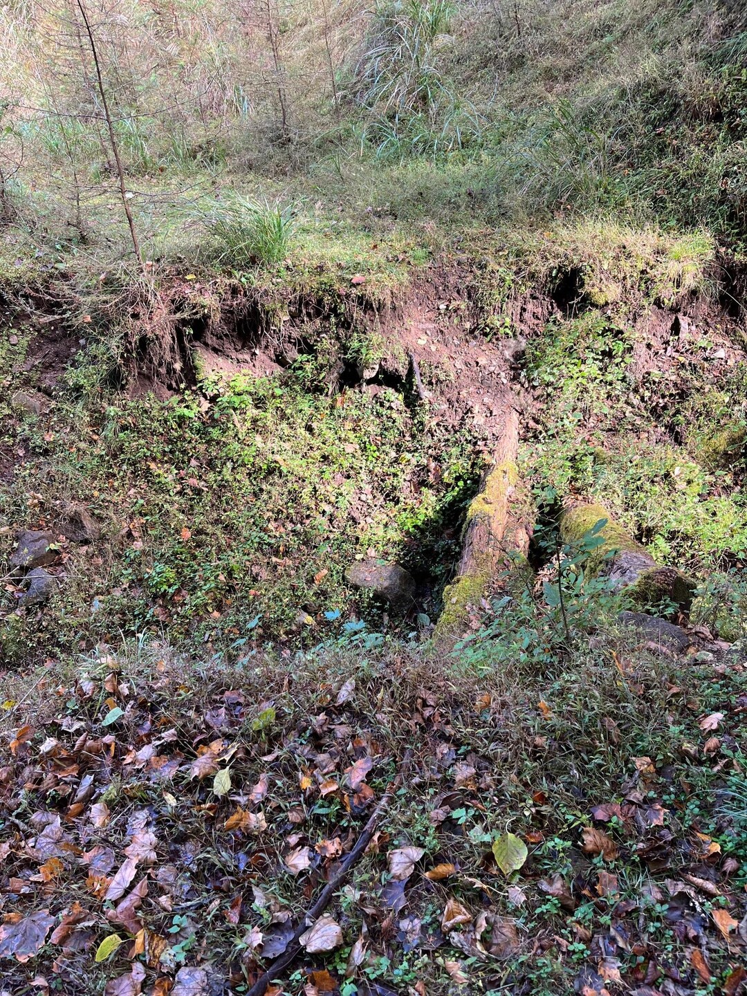 popeesanさんの投稿したフィールドメモ | YAMAP / ヤマップ