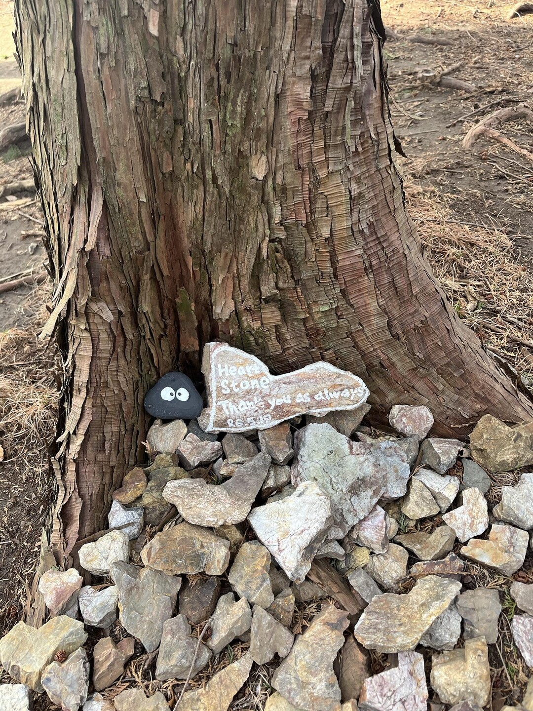 吾妻山・女吾妻山 / ka-koさんの鳴神山・吾妻山の活動データ | YAMAP / ヤマップ