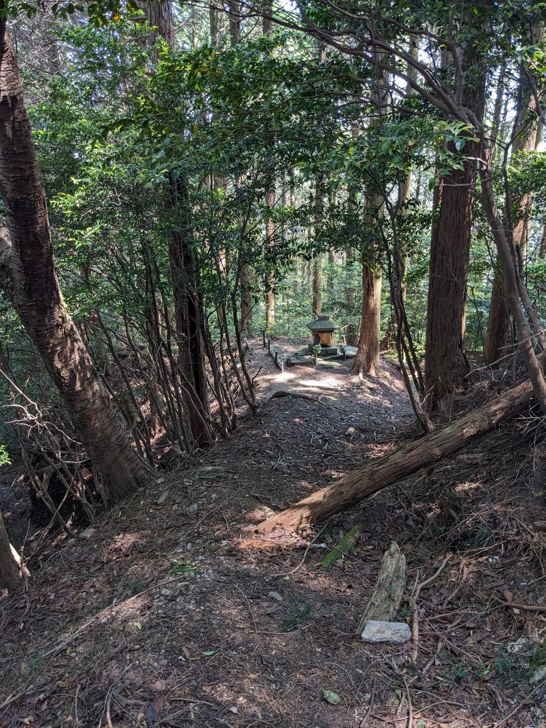 御座岩を探して 富本・三明寺地区 / mkhkさんの高良山・発心山・鷹取山の活動データ | YAMAP / ヤマップ
