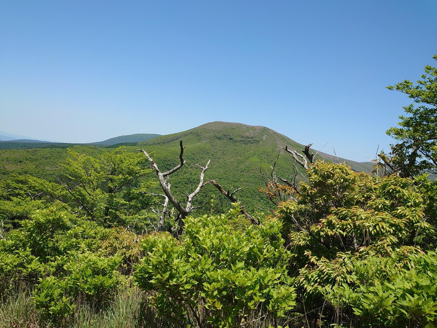 無事下山して温泉行ったあと 高千穂牧場か... / chii さんのモーメント | YAMAP / ヤマップ