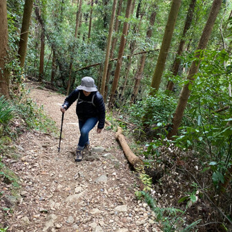 masako_ | YAMAP / ヤマップ