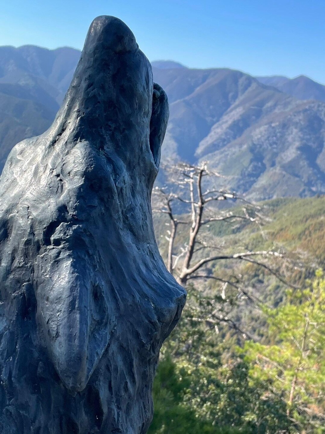 太竜岳・太竜寺山 🐉 / ☆taemon☆さんの太竜寺山の活動データ | YAMAP / ヤマップ
