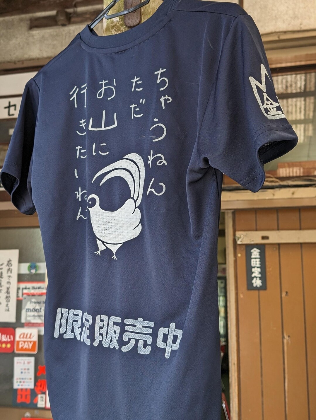 ちゃうねんただお山に行きたいねん金剛山ライブカメラデビューしたかったねん / senさんの金剛山・二上山・大和葛城山の活動データ | YAMAP / ヤマップ