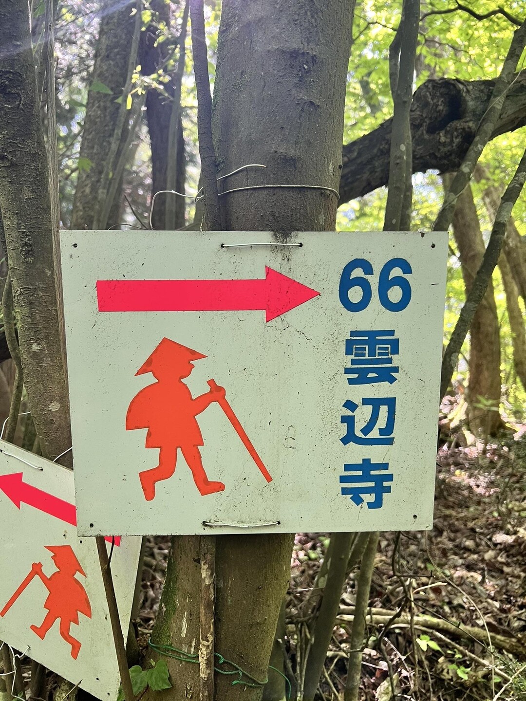 雲辺寺山 / MACさんの雲辺寺山の活動データ | YAMAP / ヤマップ