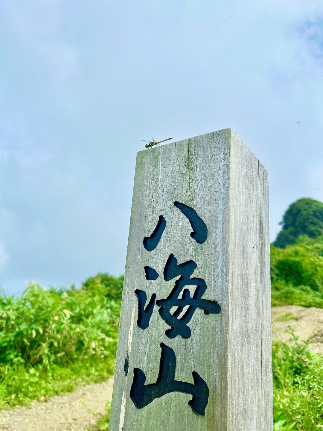 八海山-2023-08-30 / KARINAさんのウォーキングの活動データ | YAMAP / ヤマップ