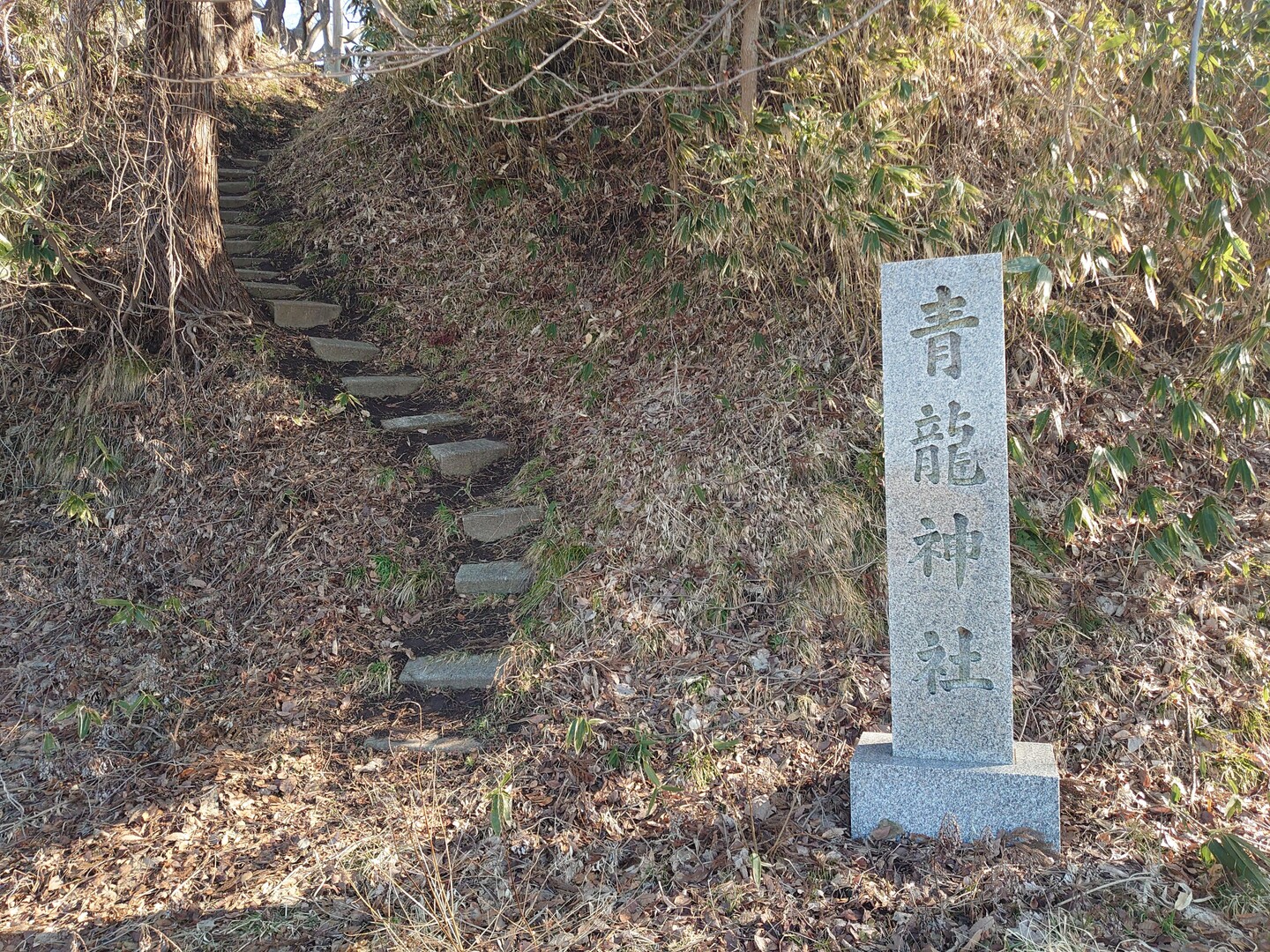 袴腰山①～飯岡山④ / aer0ckさんの秋田市の活動データ | YAMAP / ヤマップ