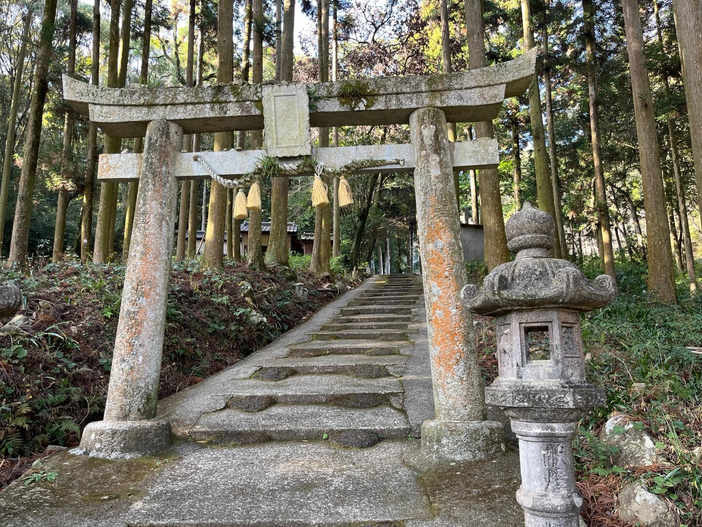 岩屋山・十郎岳 / ryoskさんの岩屋山・舞岳の活動データ | YAMAP / ヤマップ