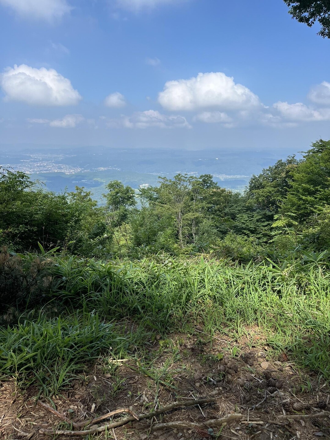 真夏の屏風山 / Hideckさんの屏風山の活動データ | YAMAP / ヤマップ