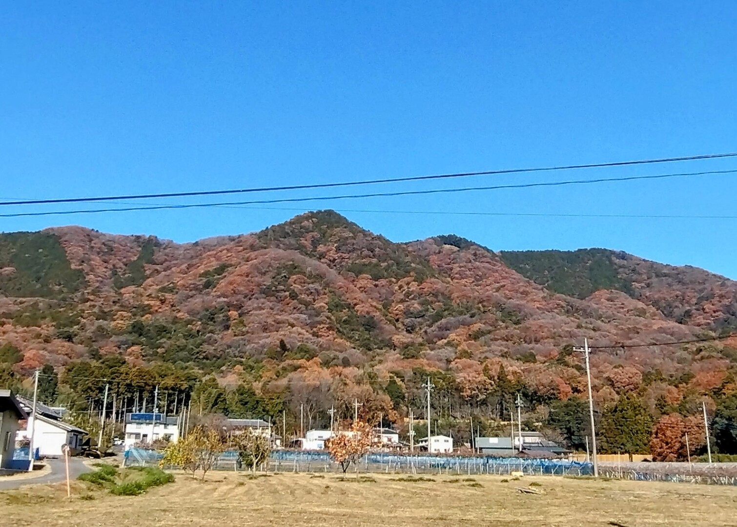 太平山・晃石山・青入山 / nanakoさんの太平山・晃石山・唐沢山の活動データ | YAMAP / ヤマップ
