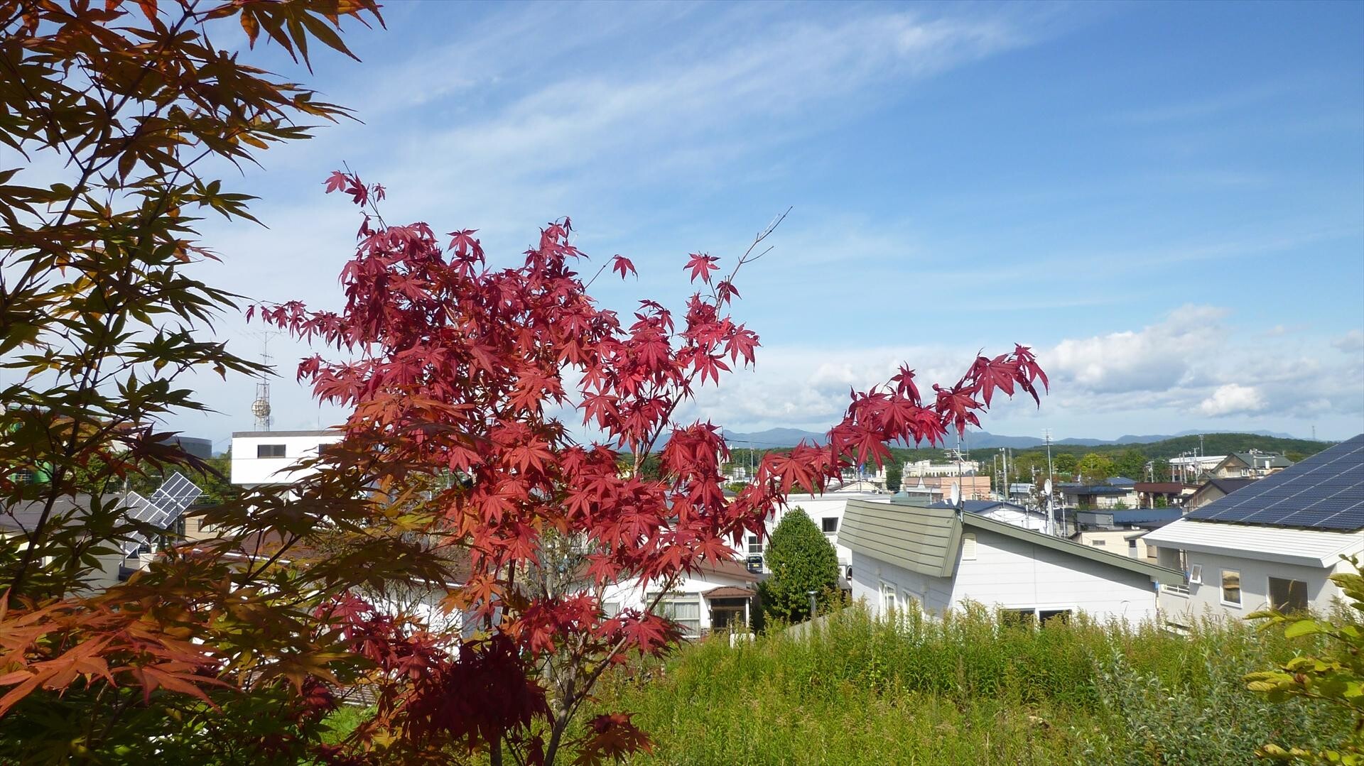 末広公園&丸山公園散策 / akadake5さんのウォーキングの活動データ | YAMAP / ヤマップ