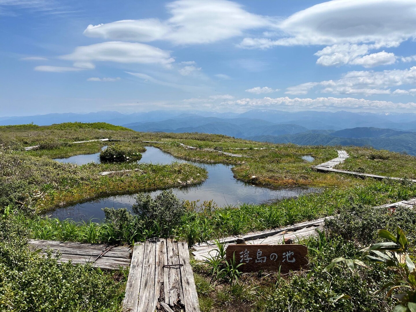 小白木峰・白木峰 / jiro23さんの白木峰・小白木峰の活動データ | YAMAP / ヤマップ