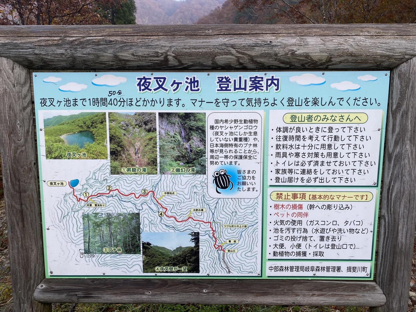 夜叉丸・夜叉ヶ池山 / Yanさんの夜叉ヶ池山・三周ヶ岳の活動データ | YAMAP / ヤマップ